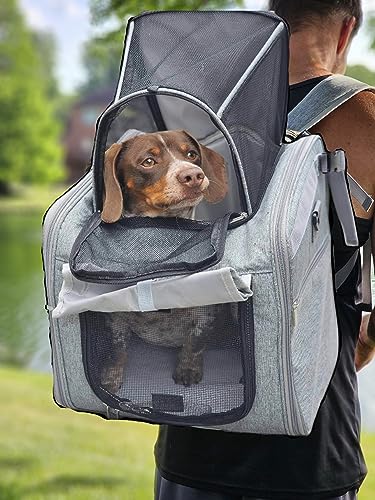 All-In-One Soft Pet Carrier Backpack – Beautiful Disaster's Angelic Pet ...